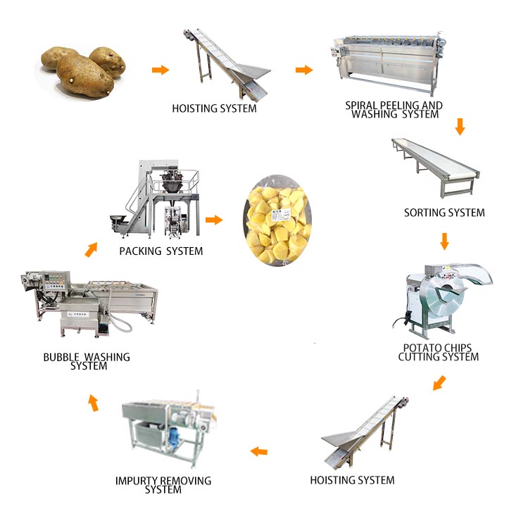 Potato washing peeling machine / processing line - Vegetable washing ...