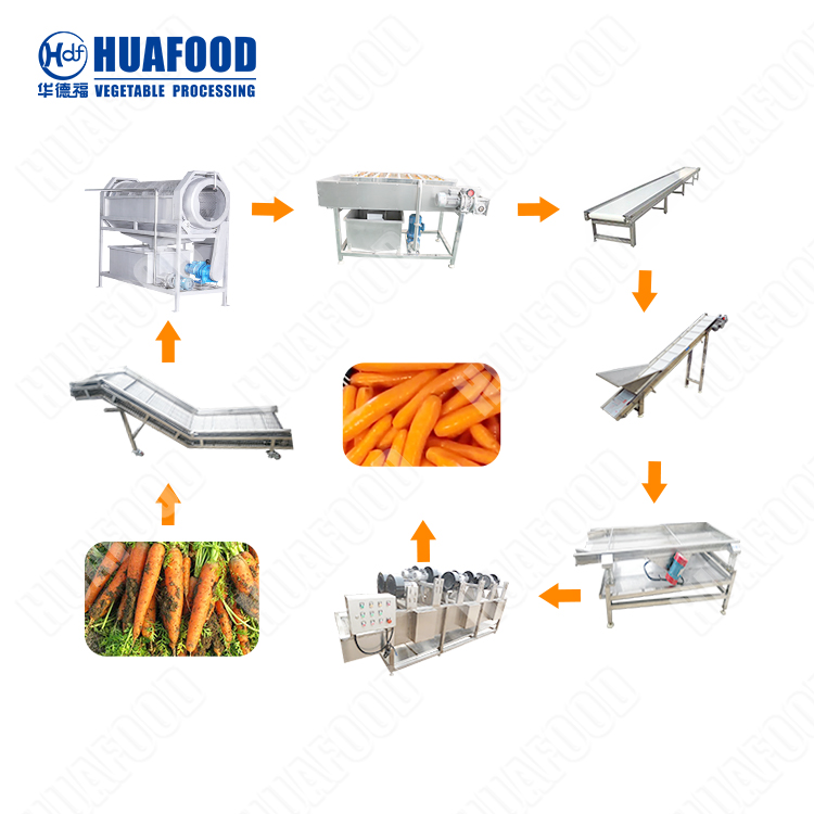 Carrot washing line /frozen vegetable production line - Vegetable ...
