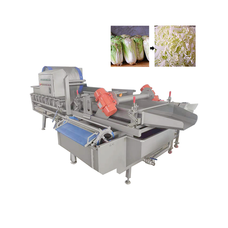 Vortex washing machine for salad - Vegetable washing machine
