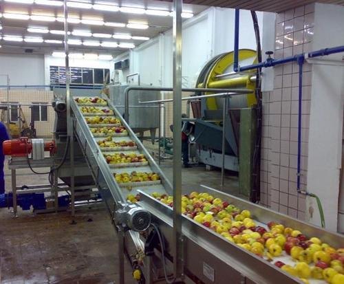 Automatic Apple Washer Dryer Machine Line|Fruit And Vegetables Cleaning ...