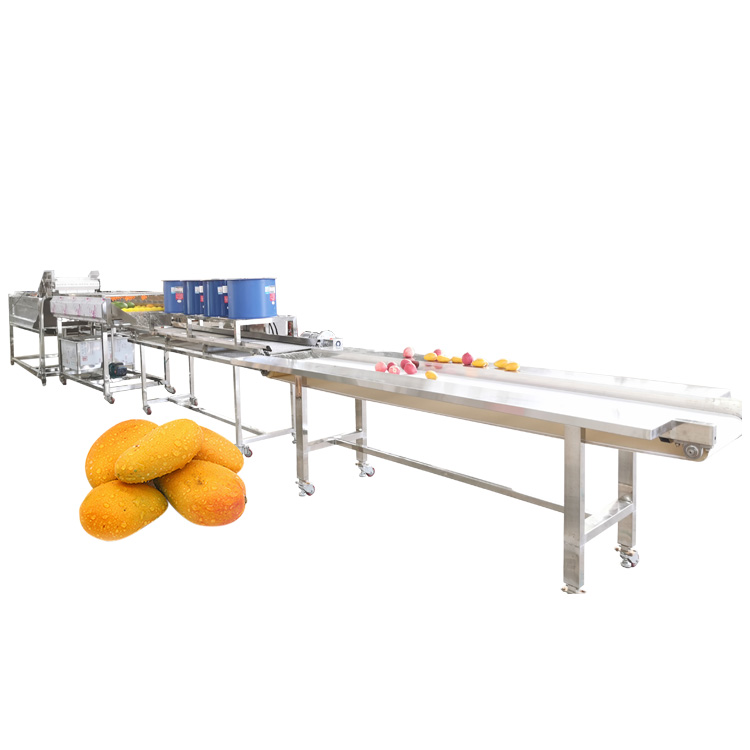 Mango washing and drying production line - Vegetable washing machine