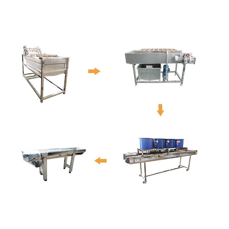 Peach washing and drying production line - Vegetable washing machine