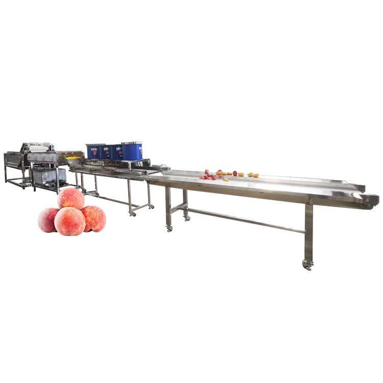 Peach washing and drying production line - Vegetable washing machine