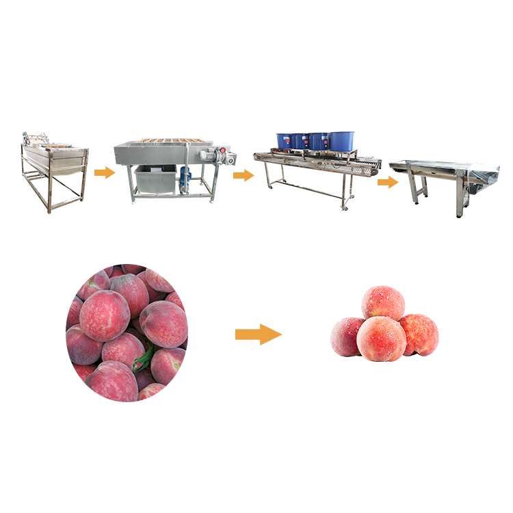Peach washing and drying production line - Vegetable washing machine