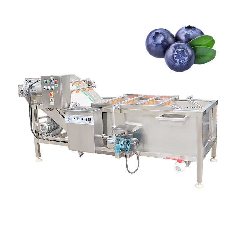 Freshness Guaranteed: Blueberry Cleaning Machine in Action - Vegetable ...