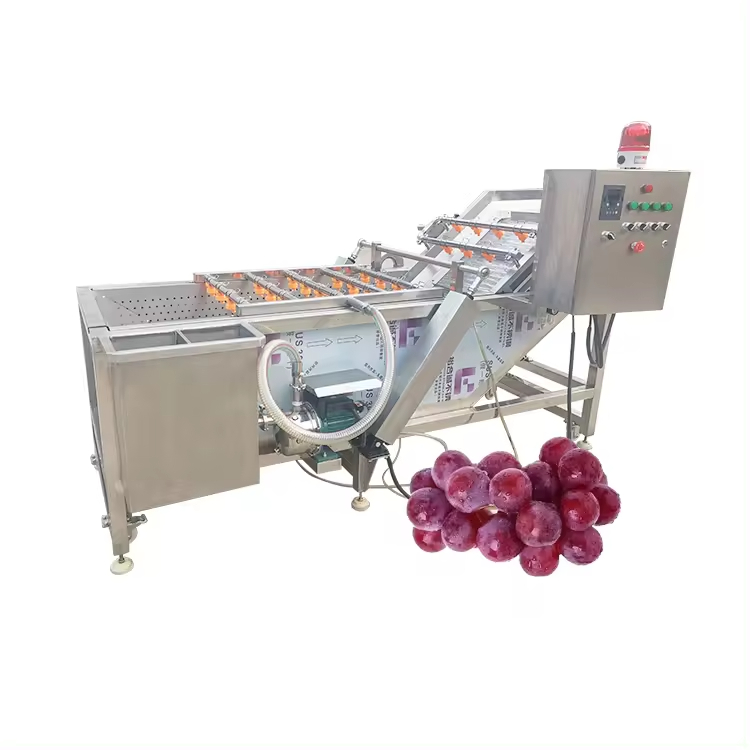 The Role of Grape Washing Machines on Our Farm - Vegetable washing machine
