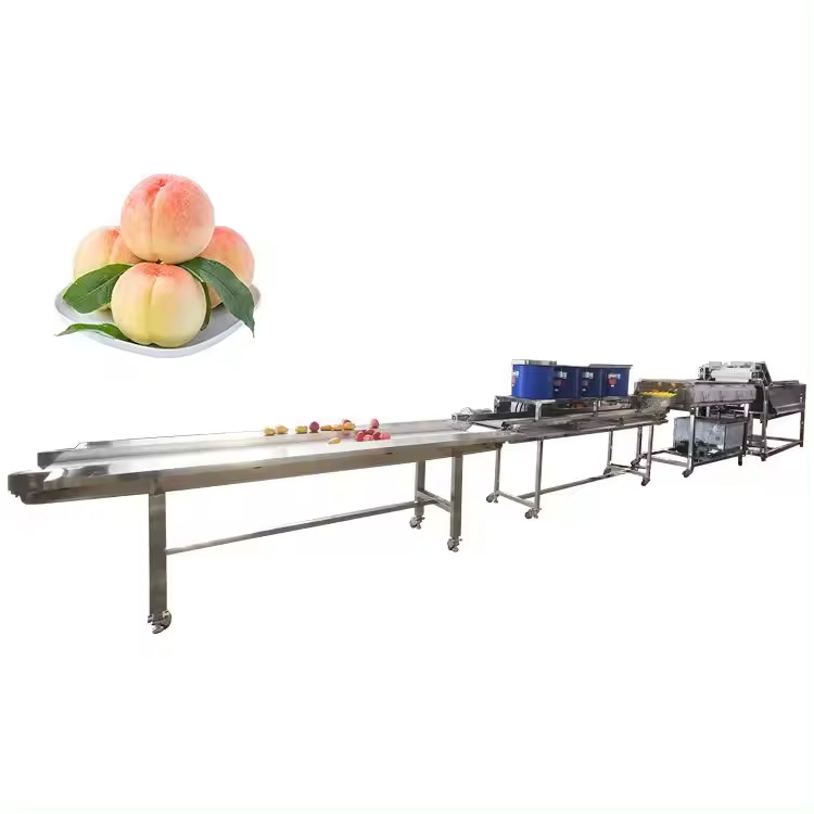 Peach Cleaning Machine: Top-Quality Fruit Washers for Sale - Vegetable ...