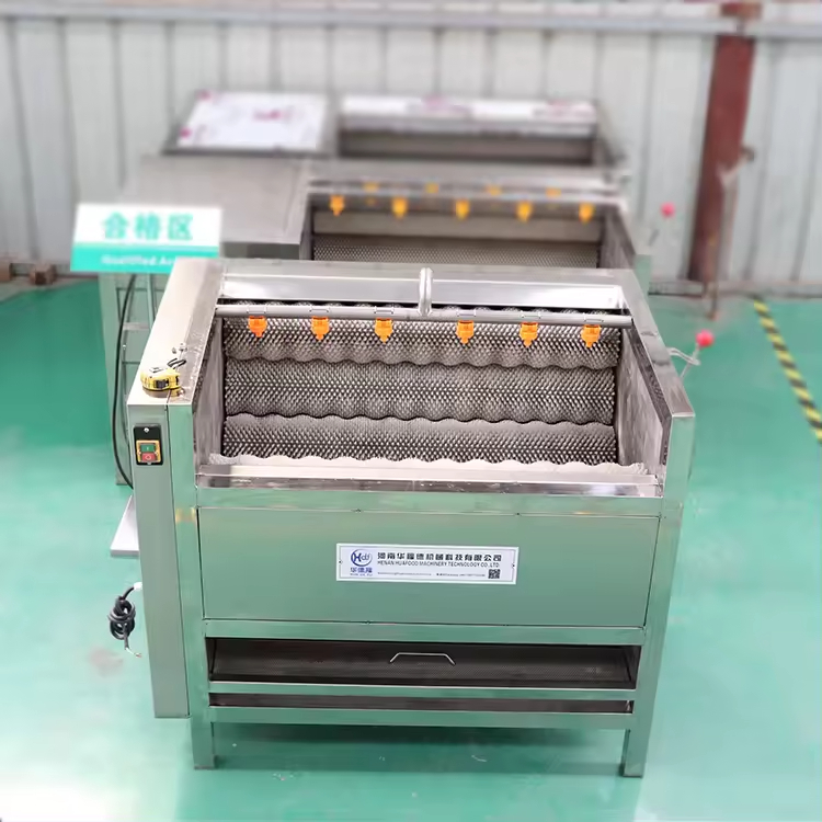 All About the Durability of Our Potato Washer - Vegetable washing machine