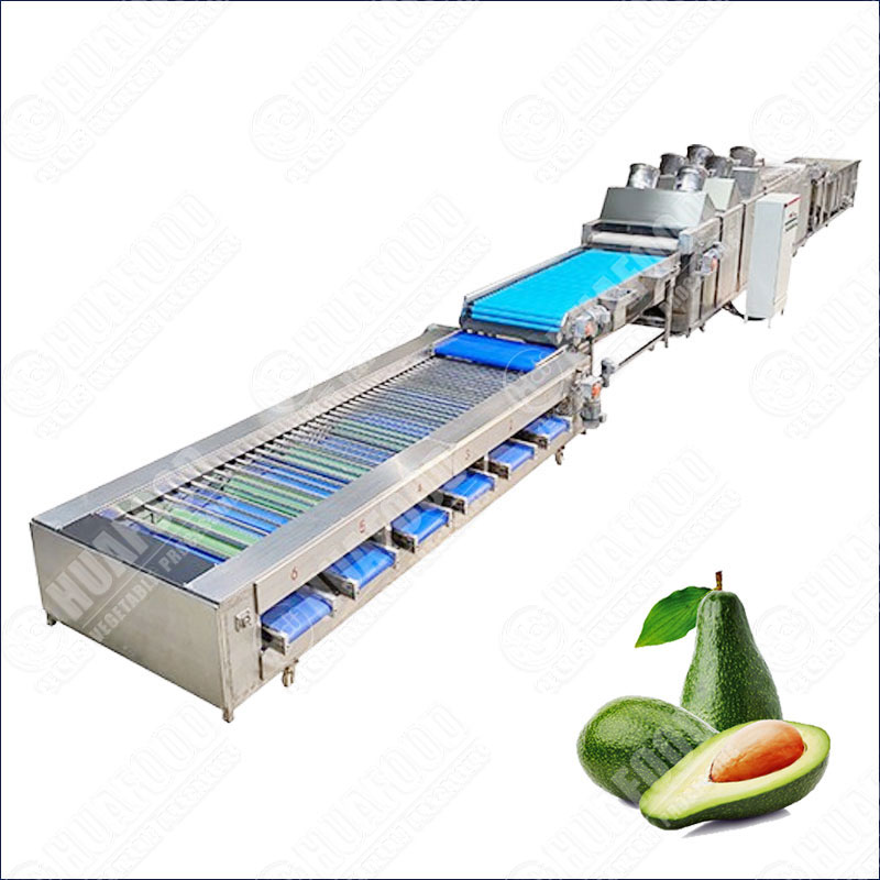High Efficiency Avocado Green Washing Drying Grading Machine - Vegetable washing machine