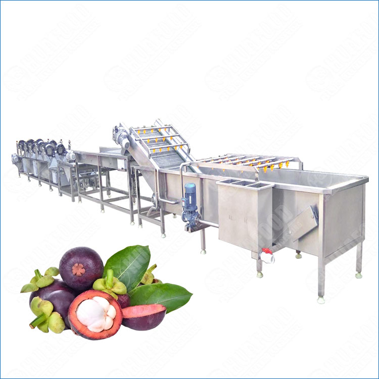 High Efficiency Mangosteen Washing And Drying Machine For Sale ...