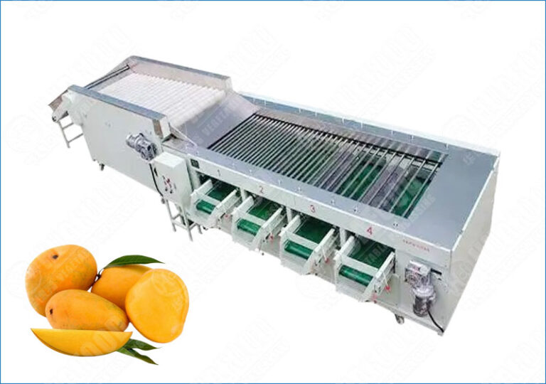 Mango Sorting and Grading Machine for Uniform Fruit Packaging ...