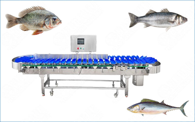 High Precision Fish Weight Grading Machine For Seafood Processing Plant ...