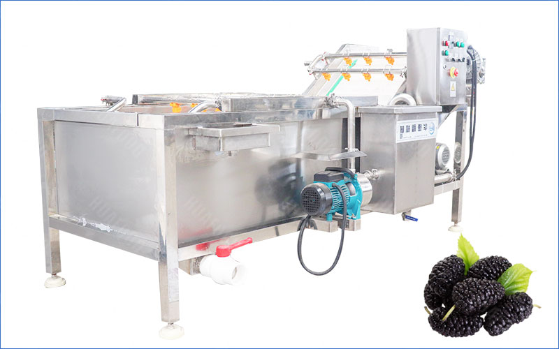 Industrial Mulberry Fruits Air Bubble Washing Machine Non-Damage - 蔬菜清洗机